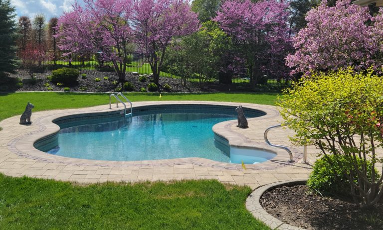 Buds Spas & Pools | Serving Ancaster, Dundas, Hamilton, Burlington